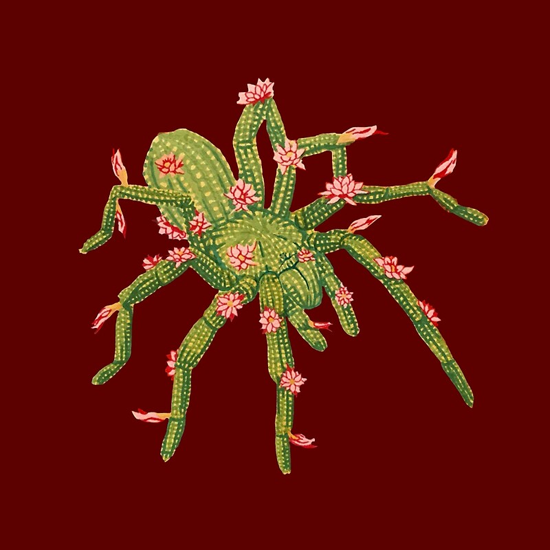 "Tarantula Cactus " by RaLiz | Redbubble