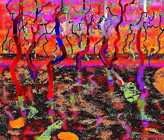 "Fauve Forest" by Richard Tuvey | Redbubble