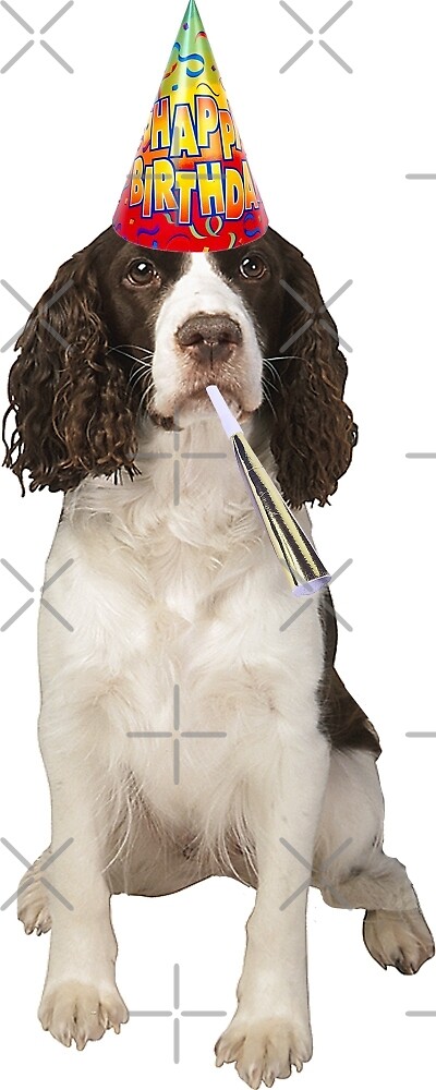 "English Springer Spaniel Birthday" by CafePretzel | Redbubble