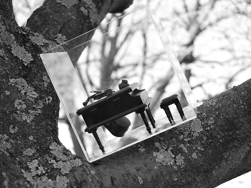 "Musical Box in Tree - Metaphorical self-portrait" by saeharr | Redbubble