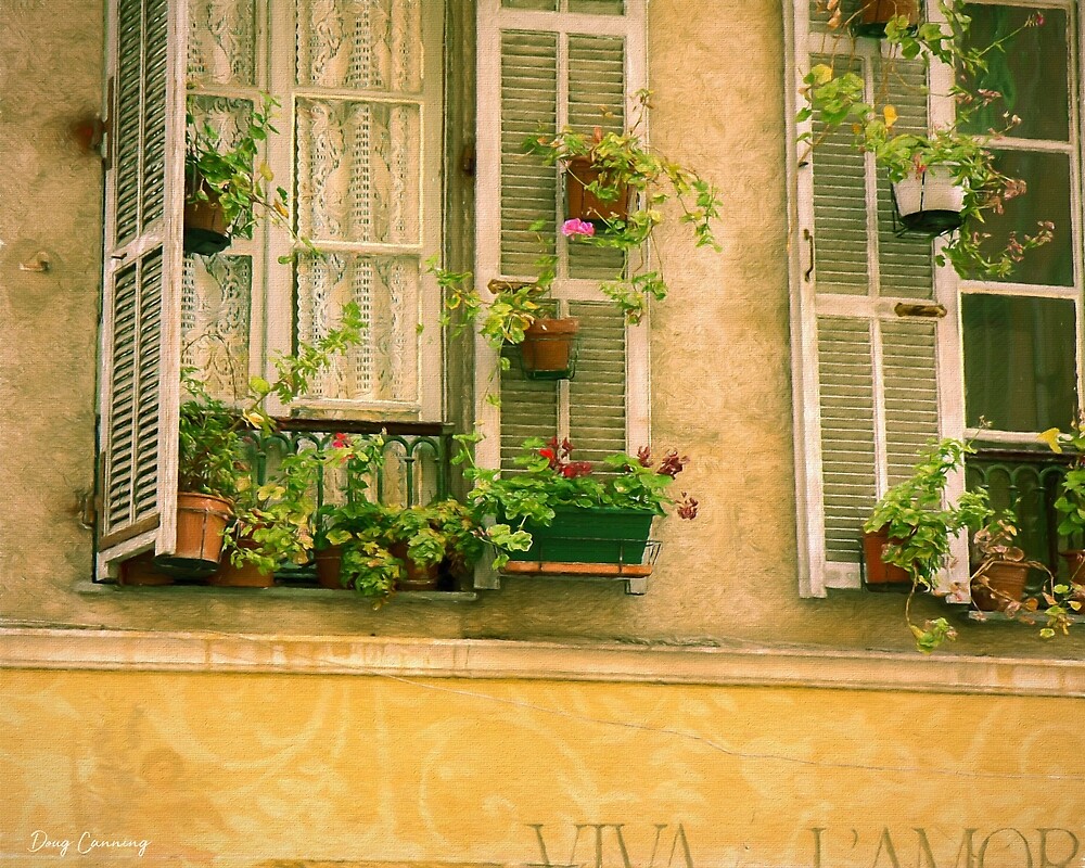 "Viva Tuscany" by Doug Canning | Redbubble