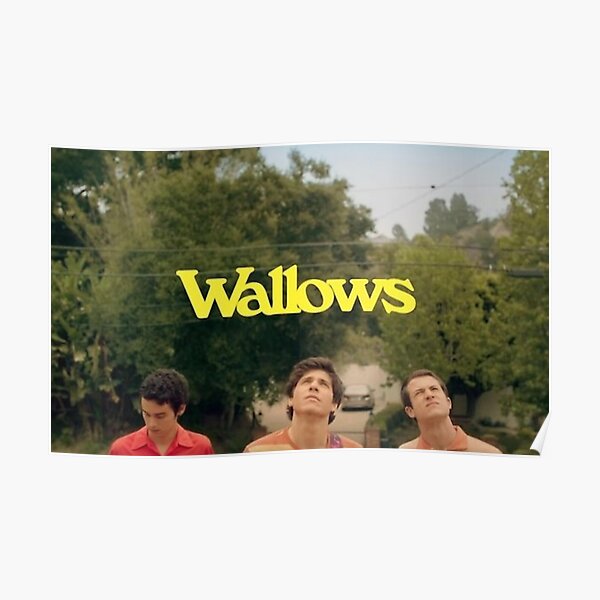 Wallows Posters | Redbubble