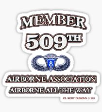 509th Airborne Stickers | Redbubble