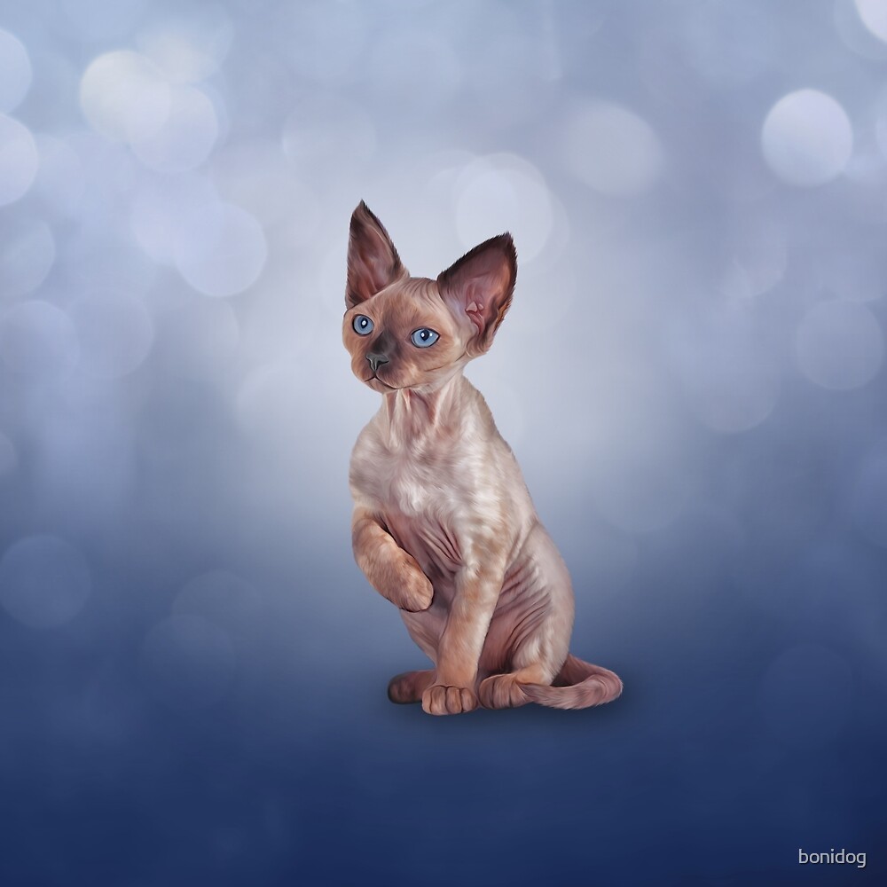 "Drawing cat Cornish Rex" by bonidog | Redbubble