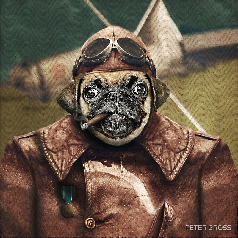 "Pete the Pilot Pug" by PETER GROSS | Redbubble