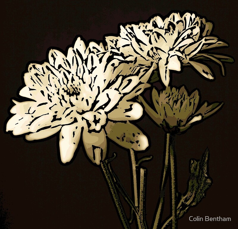"White Flower Woodcut" by Colin Bentham | Redbubble