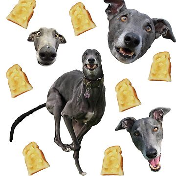 "Blue + Toast pattern" Pillow for Sale by bluethegrey | Redbubble