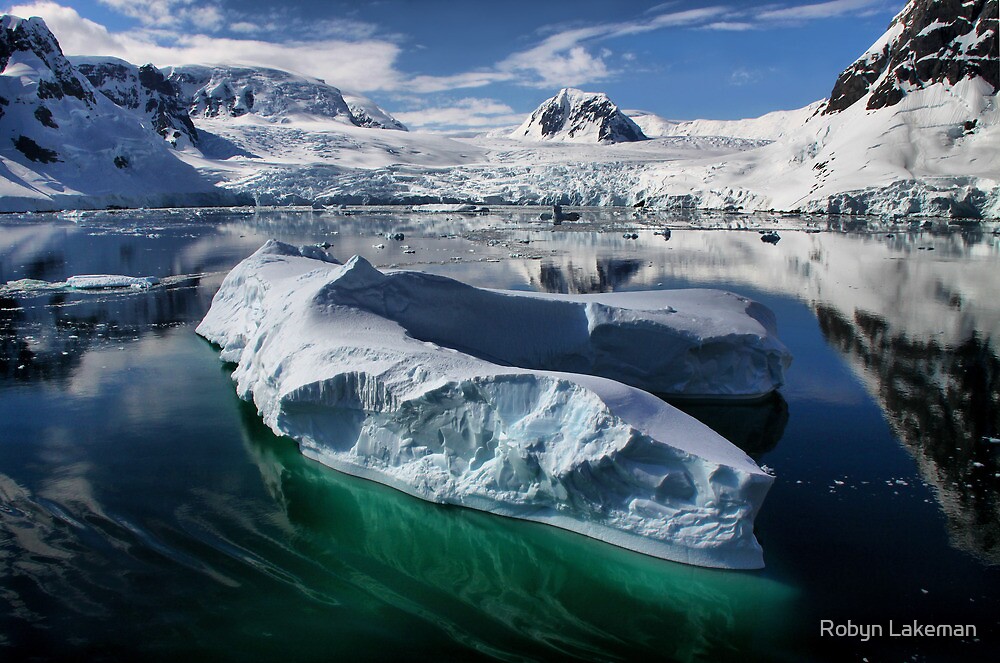 "Beautiful Antarctica" by Robyn Lakeman | Redbubble