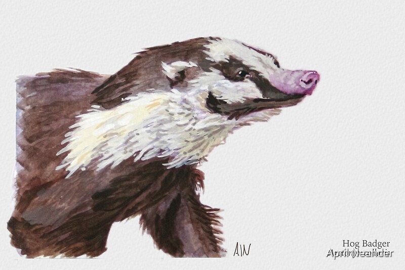 "Hog Badger" by April Neander | Redbubble
