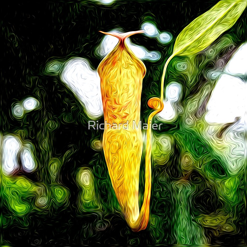 "Spring Swirlings 12" by Richard Maier | Redbubble