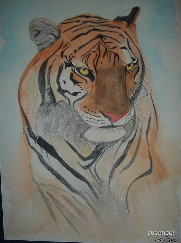 "Shea Khan Tiger" by sueangel | Redbubble