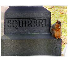 "RIP Squirrel " by Marcia Rubin | Redbubble