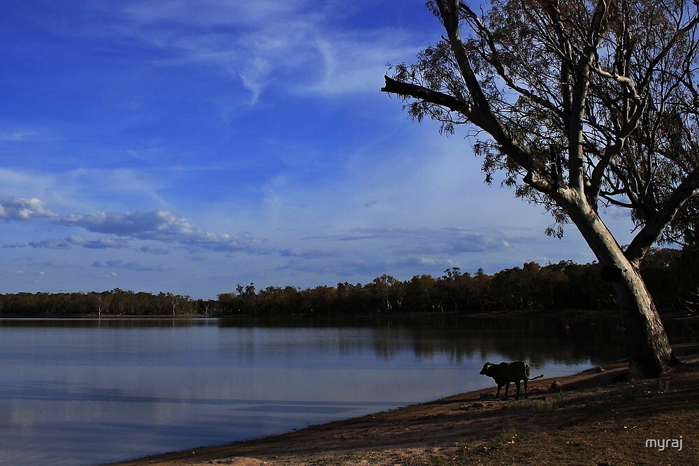 "Yarrie Lake" by myraj | Redbubble