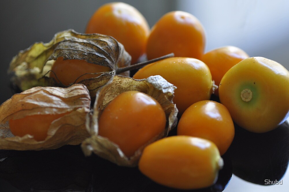 "Mullaca Peruvian" by Shubd | Redbubble