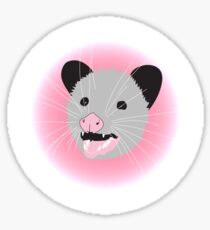 Possum: Stickers | Redbubble