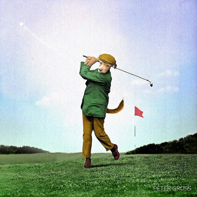 "Sir Terrance Terrier Golfing" by PETER GROSS | Redbubble