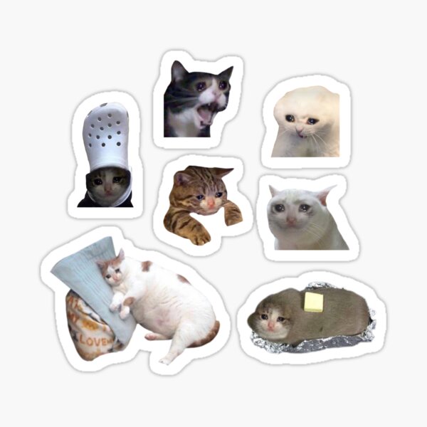 Sad Cat Stickers | Redbubble