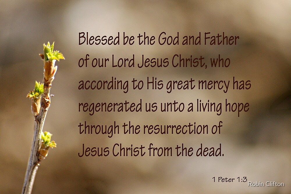 "1 Peter 1:3 Our living hope" by Robin Clifton | Redbubble