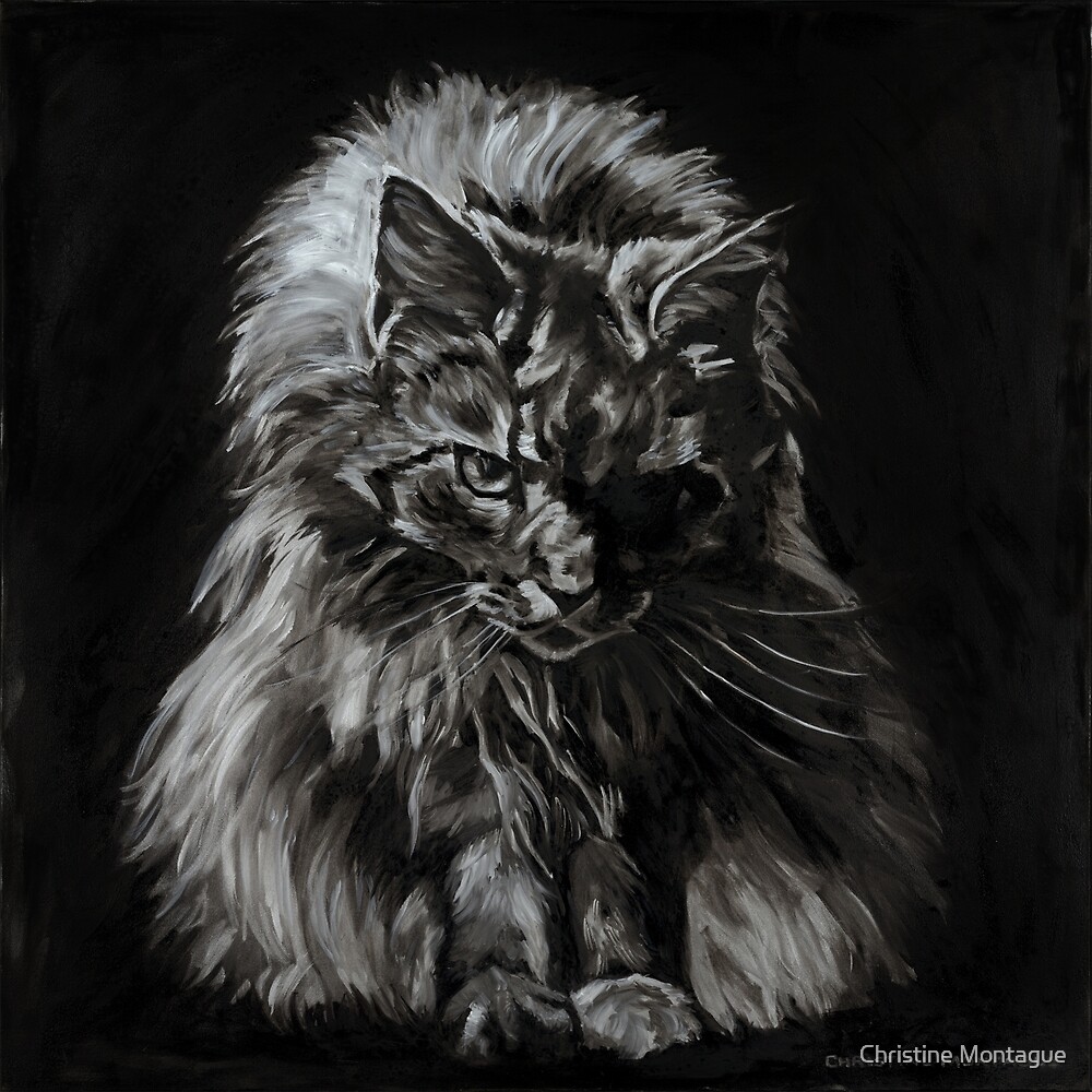 "One Big Scary Maine Coon Cat " by Christine Montague | Redbubble