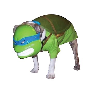 "ninja turtle dog " Poster for Sale by chardesigns | Redbubble