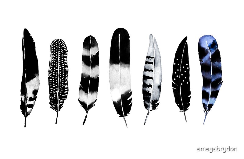 "Feather Tribe" by amayabrydon | Redbubble