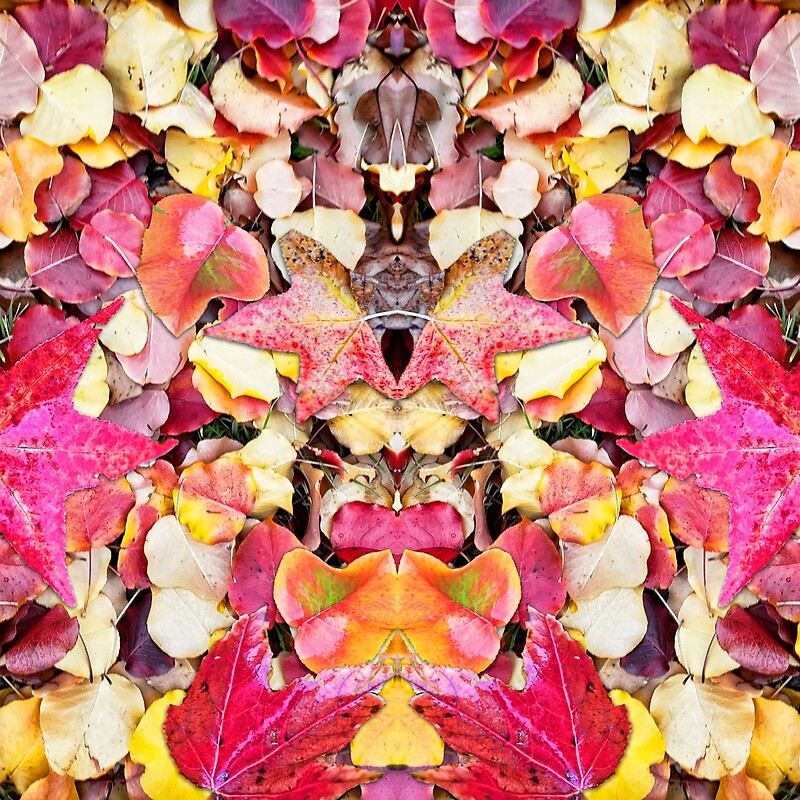 "Fall Leaves Square Pattern" by Warren Paul Harris | Redbubble