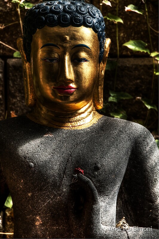 "Akara Ukara Makara" by Andrew Simoni | Redbubble