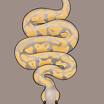 "Banana Ball Python" Sticker for Sale by peyeqart | Redbubble