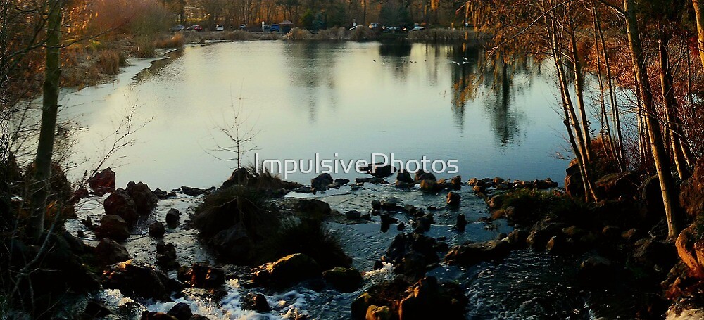 "Talking Water Gardens, Albany Oregon " by ImpulsivePhotos | Redbubble