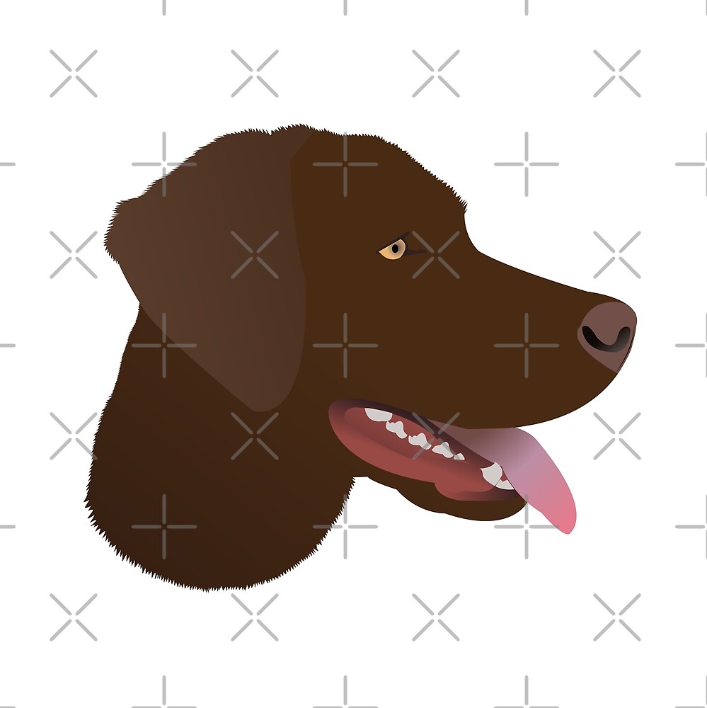 "Charlie the Chocolate Lab" by KCPetPortraits | Redbubble