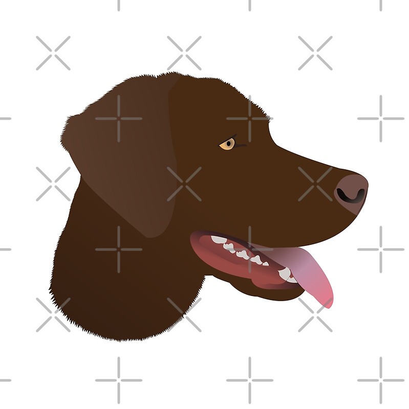 "Charlie the Chocolate Lab" by KCPetPortraits | Redbubble