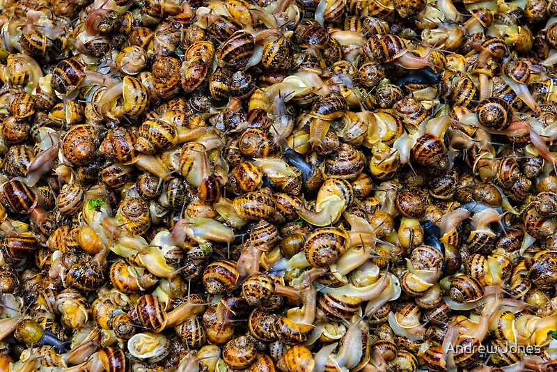 "snails and more snails, market, Siracusa, Sicily" by Andrew Jones ...