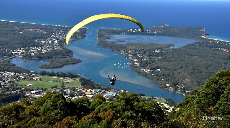 "Paragliding off middle brother mountain.N.S.W. Australia" by Heabar ...