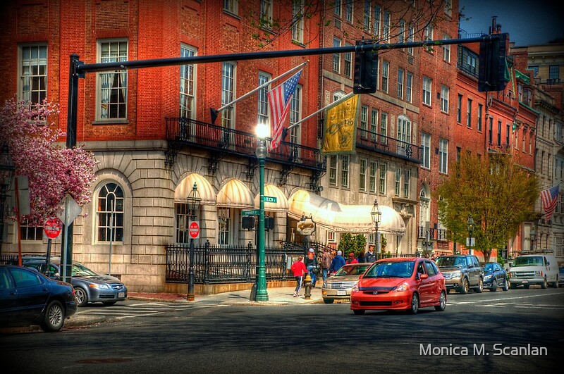 "Cheers Est. 1895 " by Monica M. Scanlan | Redbubble