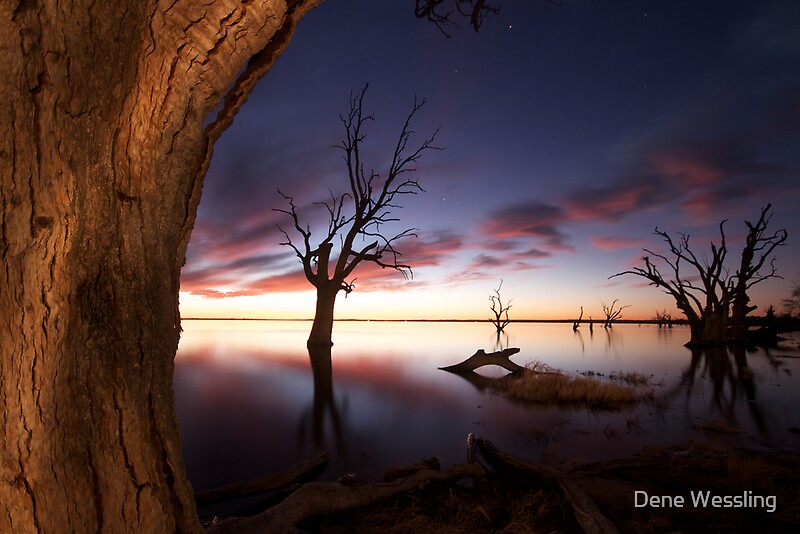 "Barmera South Australia" by Dene Wessling | Redbubble