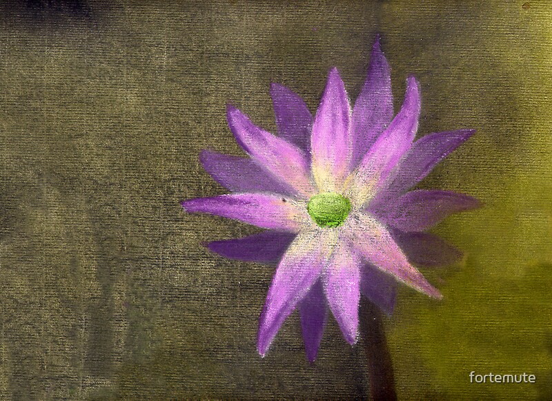 "Kaso" by fortemute | Redbubble