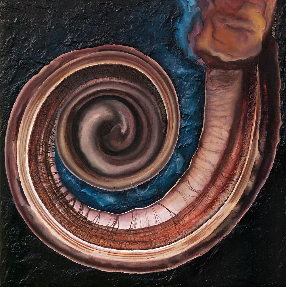 ""Slice" cochlear dissection slice" by diagnosisart | Redbubble