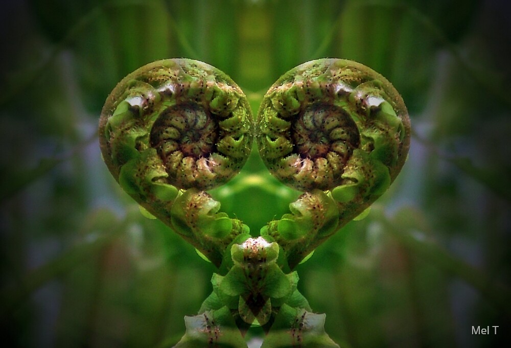"Koru Love" by Melissa Thorburn | Redbubble