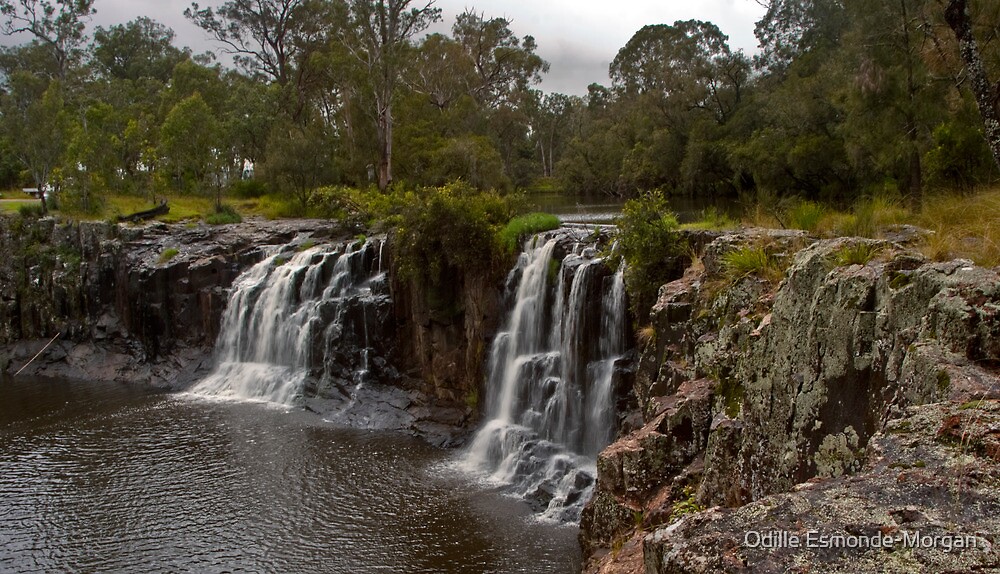 "Tooloom Falls" by Odille Esmonde-Morgan | Redbubble