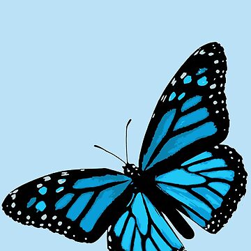 "Blue Monarch Butterfly" Art Print for Sale by sarahunruh | Redbubble