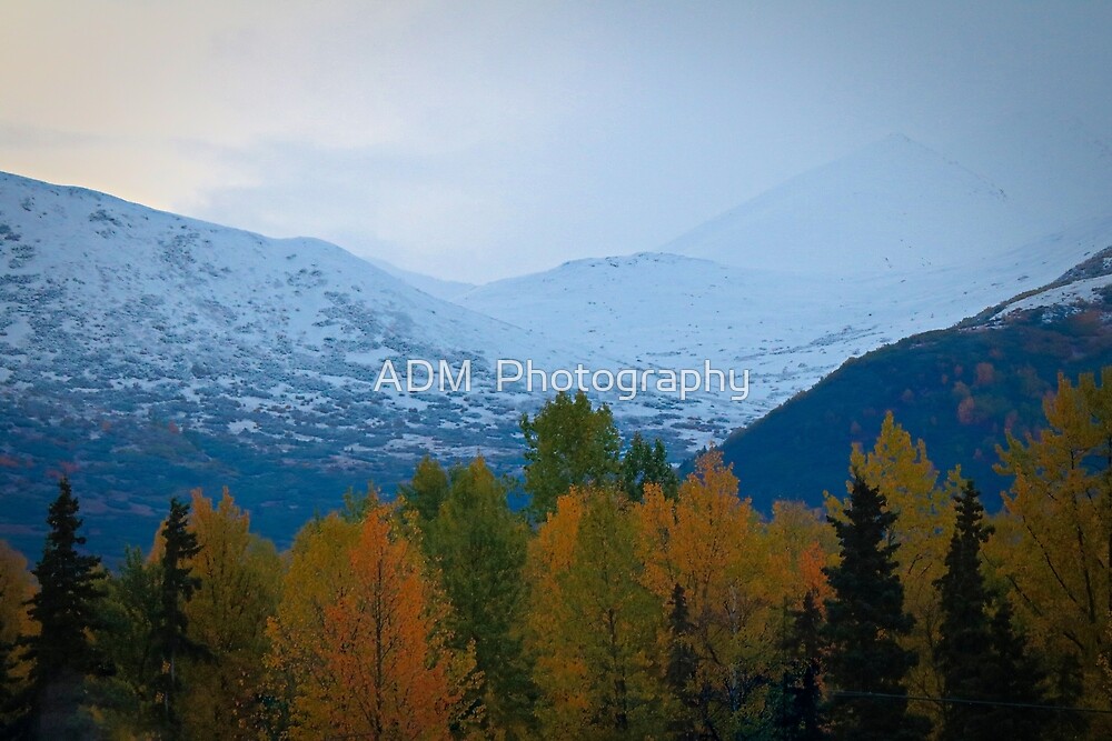 "Cold Autumn Alaskan Morning" by ADM Photography | Redbubble