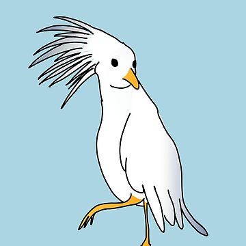 Sticker avec l'œuvre « Le cagou ou kagou huppé de Nouvelle Calédonie ...