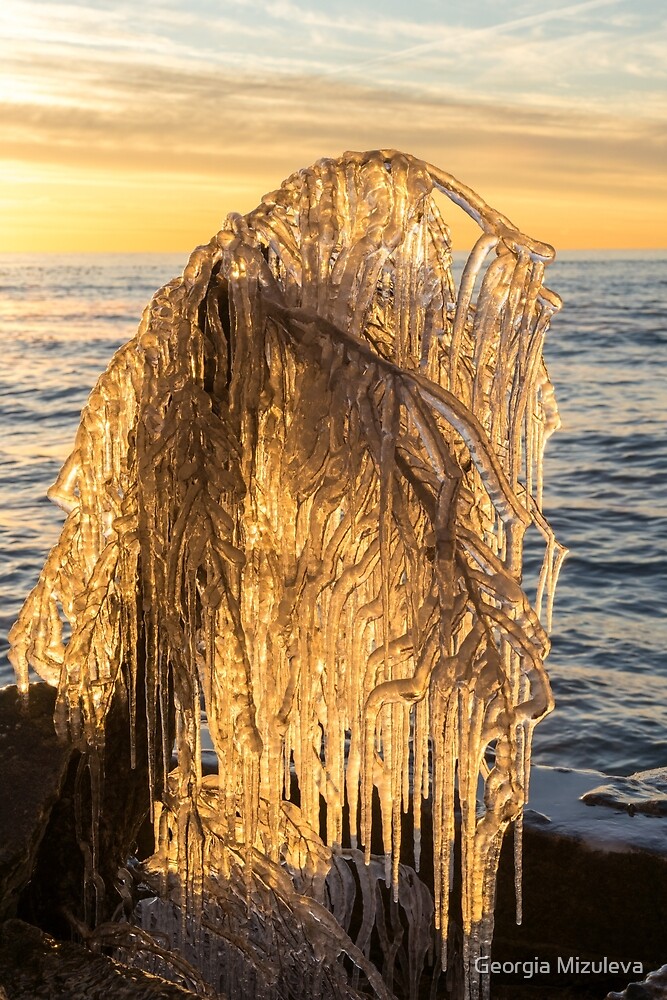 "Natural Ice Sculpture - Frozen Tree Statue on the Lakeshore" by ...