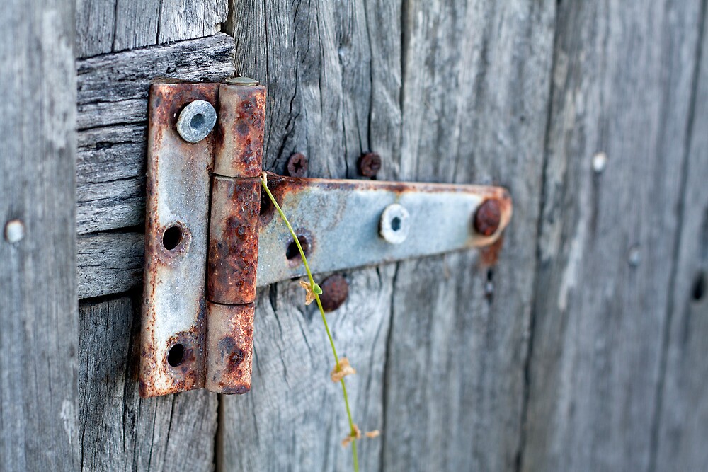 "Rusty" by Kirsty McPhee | Redbubble