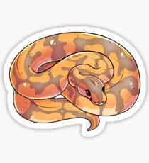 Ball Python: Gifts & Merchandise | Redbubble