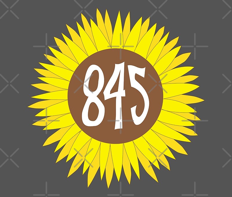"Hand Drawn New York Sunflower 845 Area Code" by itsrturn | Redbubble