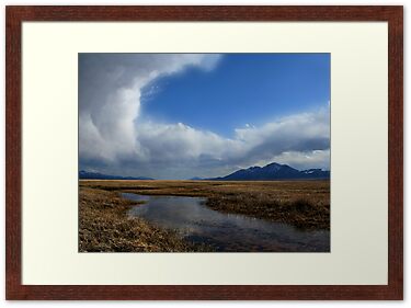 "Cool Water" by Arla Ruggles | Redbubble