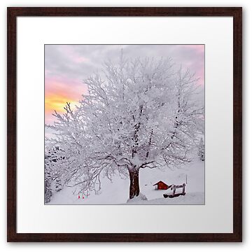 "Winter Landscape" by Mario Curcio | Redbubble