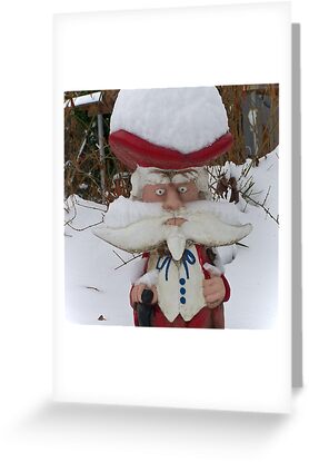 "Colonel Reb Is Not Amused" by Terri Chandler | Redbubble
