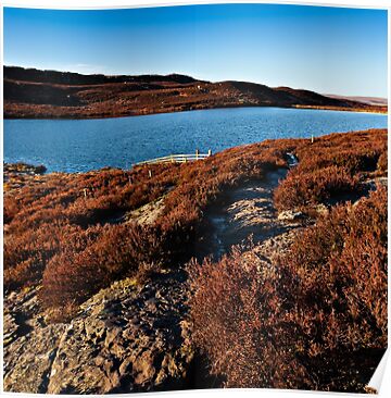 "Harbottle, Coquetdale. Northumberland National Park. UK " by David ...